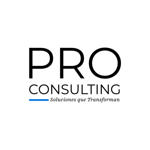 Consultoria y Asesorias.